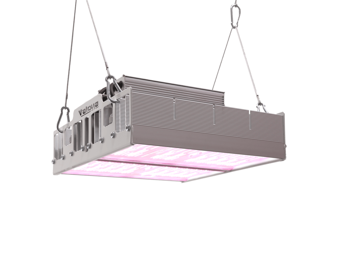 RX-Series | Valoya LED Grow Lights