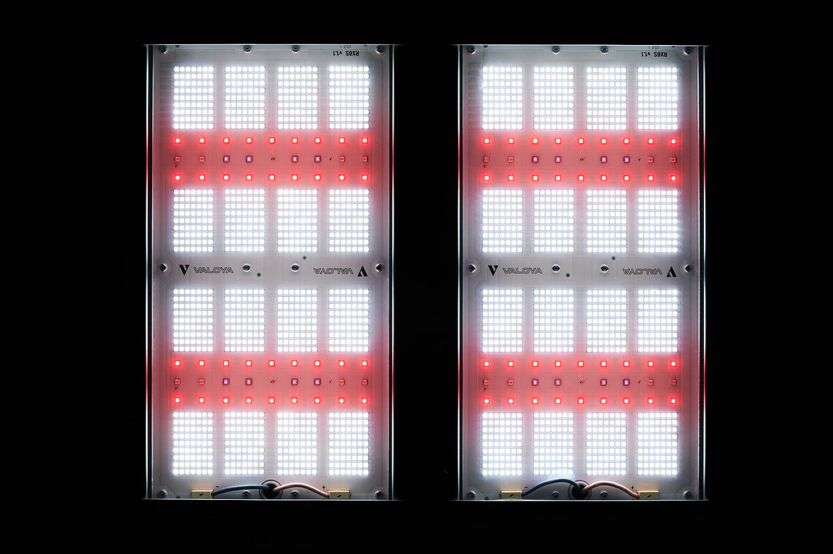 RX-Series | Valoya LED Grow Lights